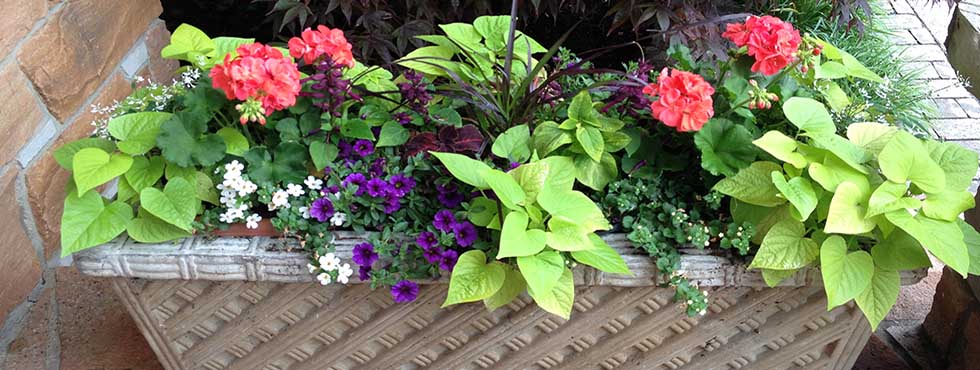 Planters | Silver River Landscaping